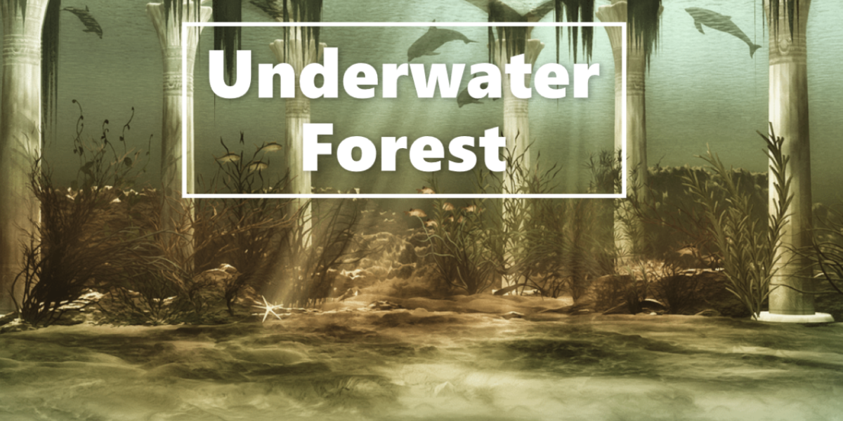 Underwater Forest: The Paradise Beneath The Earth