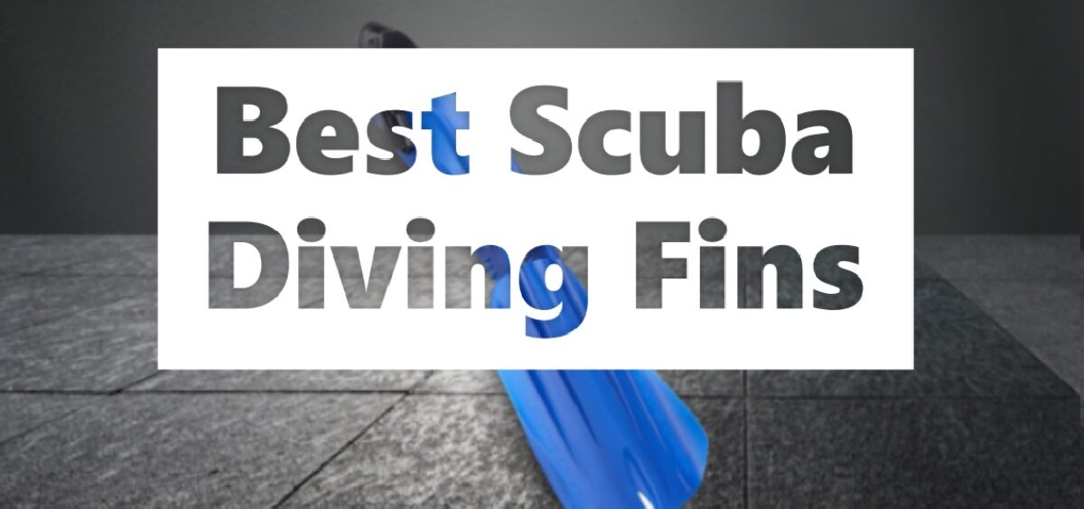 12 Best Scuba Fins in 2023